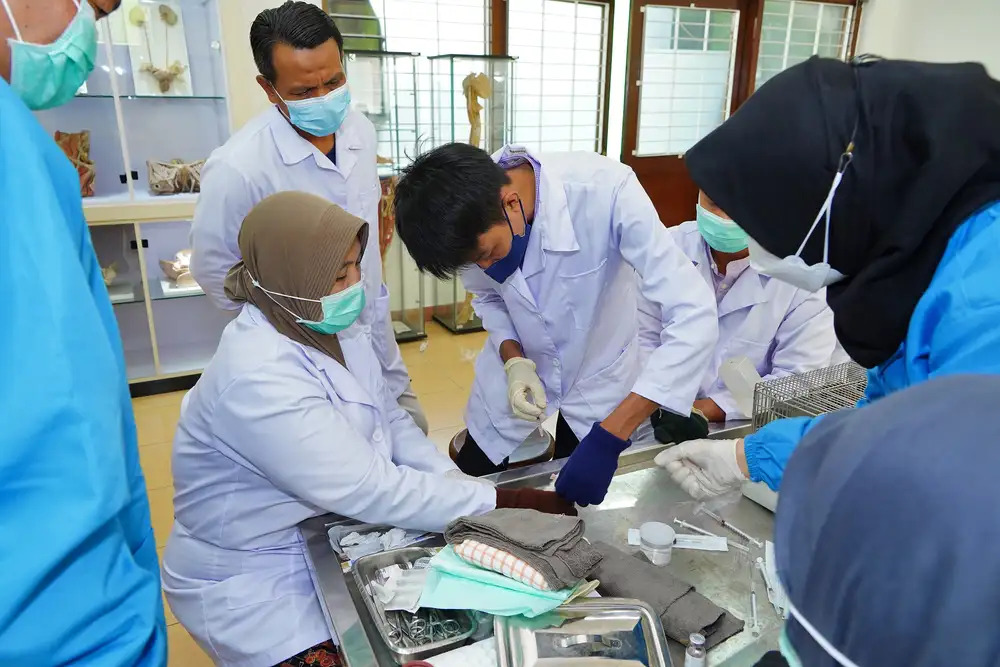 Fakultas Kedokteran UNS | Laboratorium Hewan Coba FK UNS Adakan ...